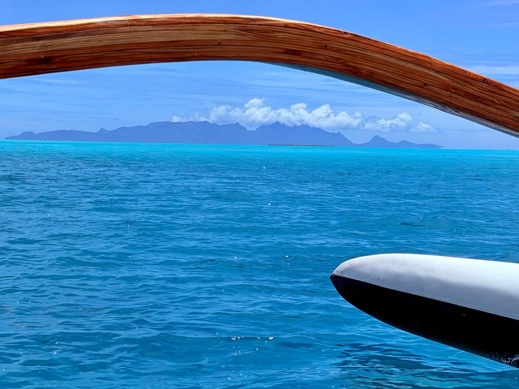 VERANDA VISTAS #7 – Invisible Life Threads